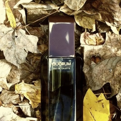 Brands | City Perfume Australia